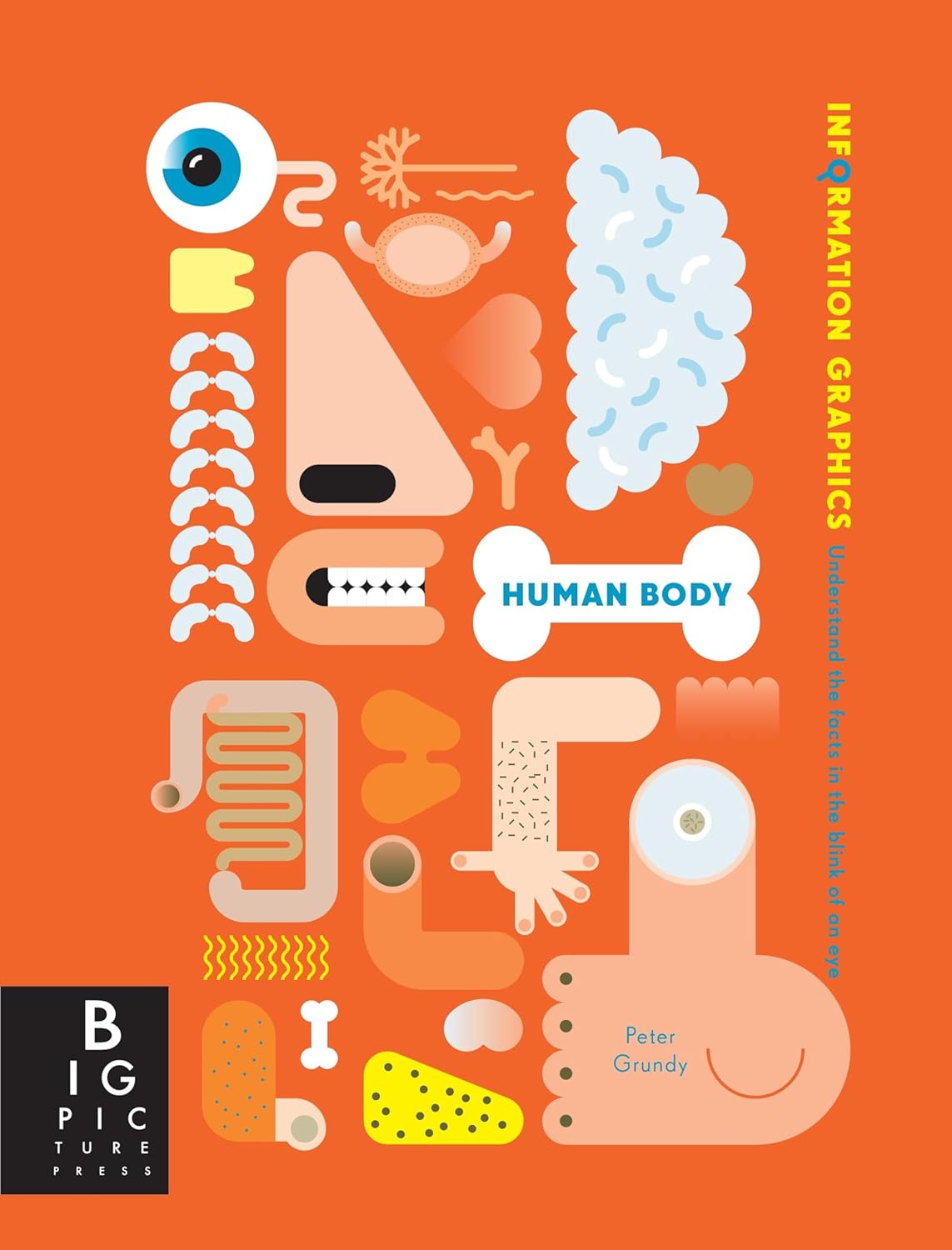 Information Graphics: Human Body – Museum of Fine Arts, Houston
