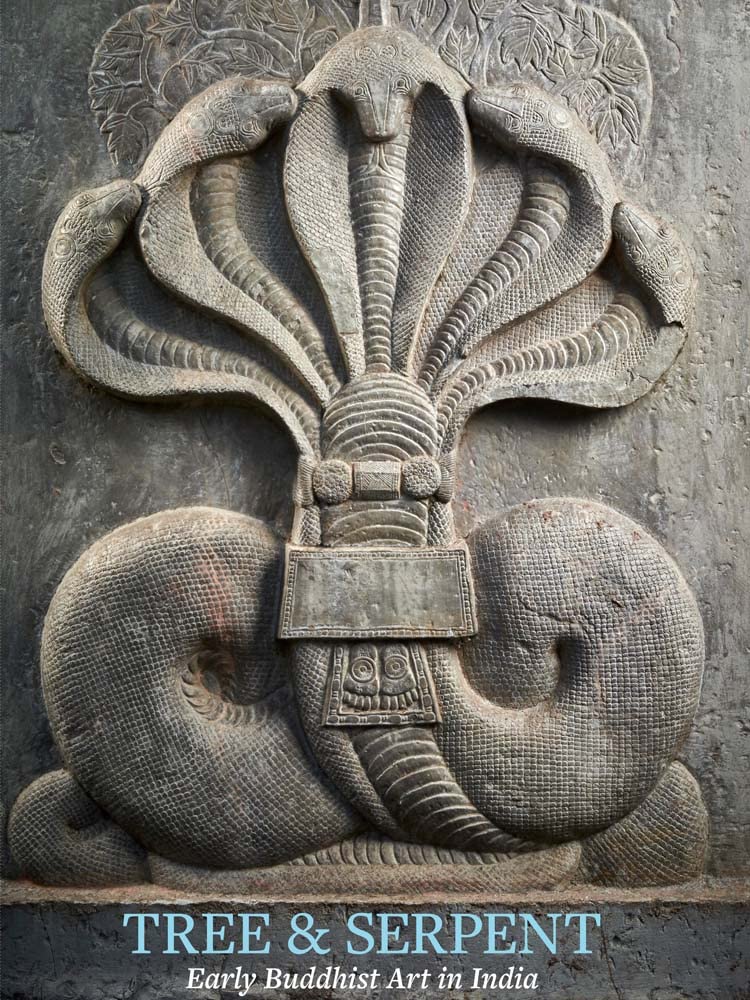 Tree & Serpent: Early Buddhist Art in India – Museum of Fine Arts, Houston
