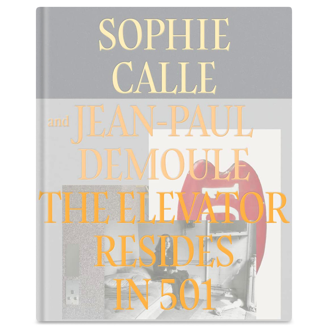 Sophie Calle & Jean-Paul Demoule: The Elevator Resides in 501 – Museum ...